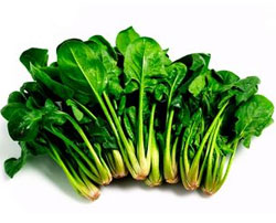 Alimentatie sanatoasa: Spanacul curatitorul organismului