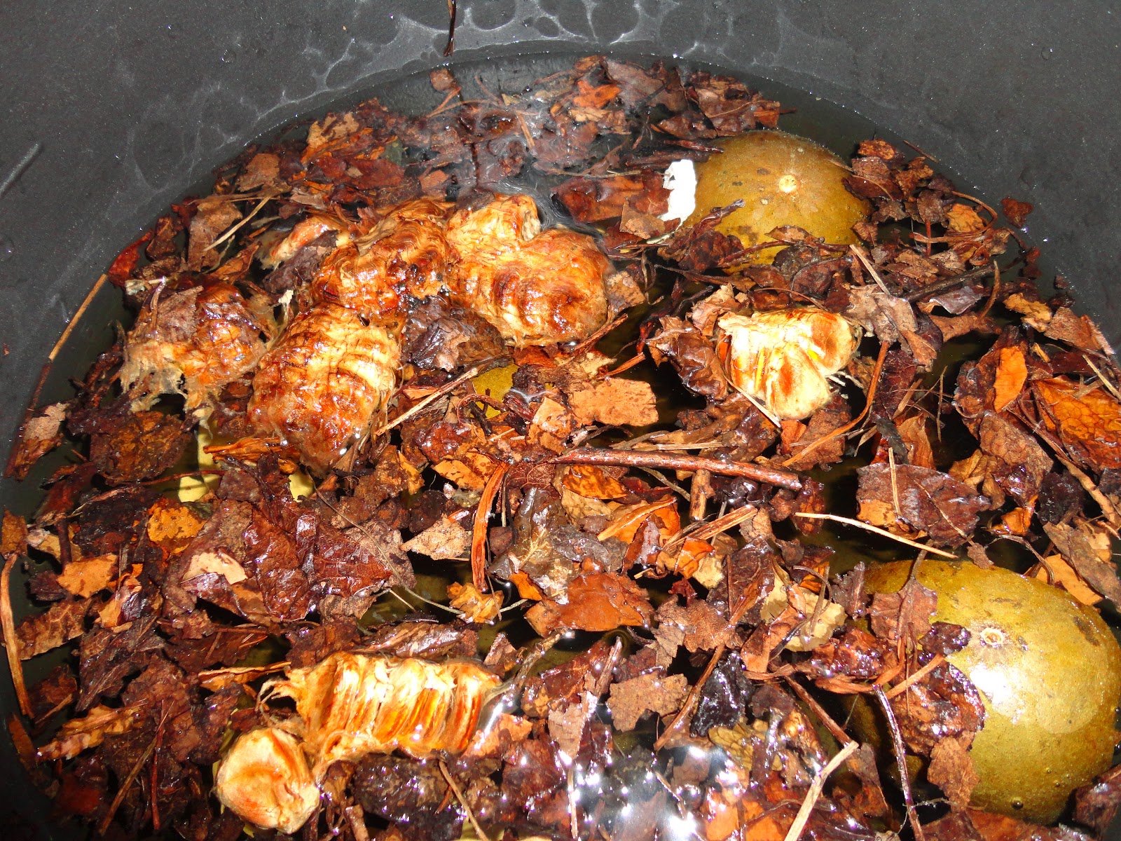 Cook 4 You & Me......: Herbal Jelly-Sweet Gui Ling Koh