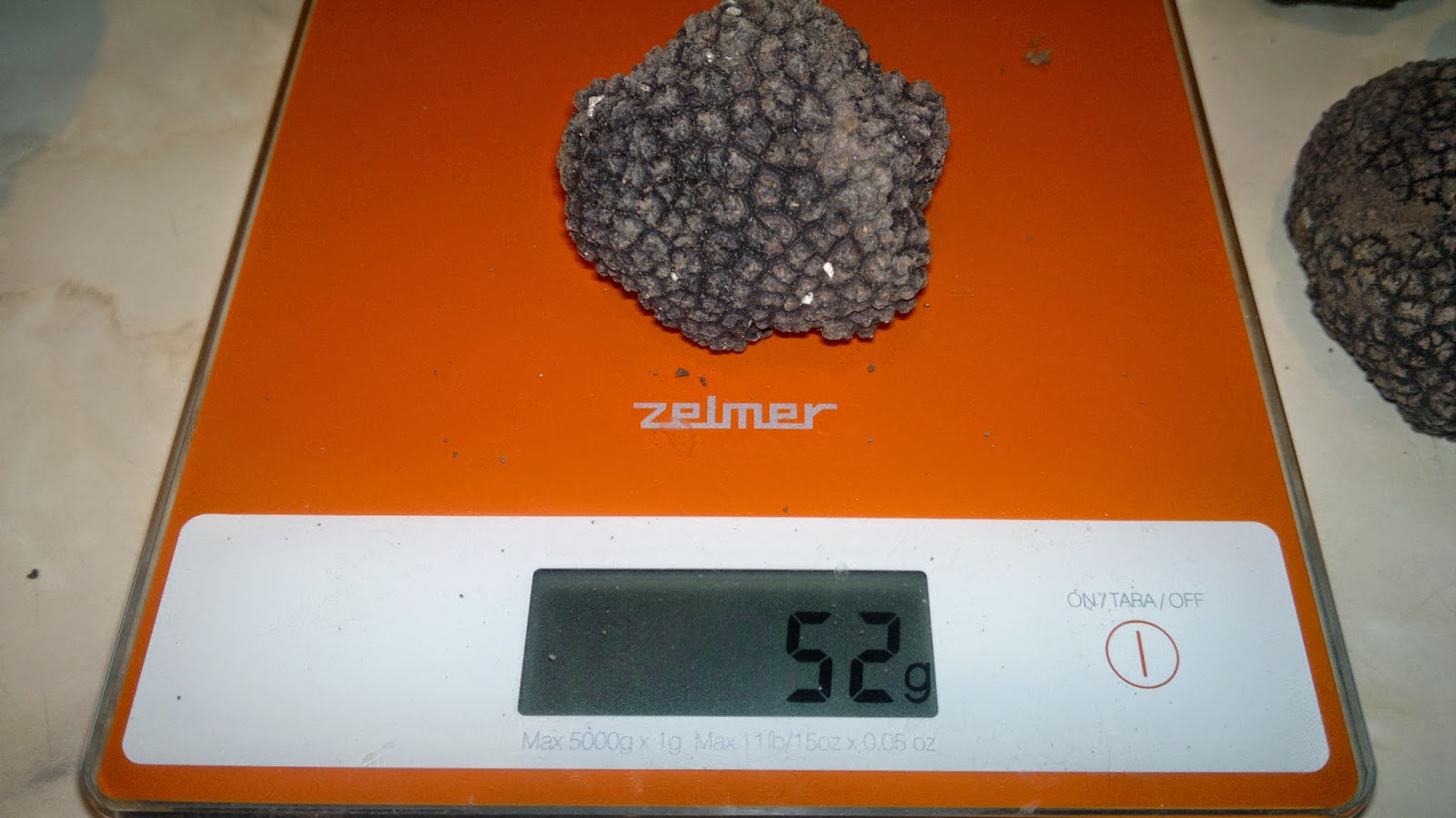 Trufe Romania Albe si Negre