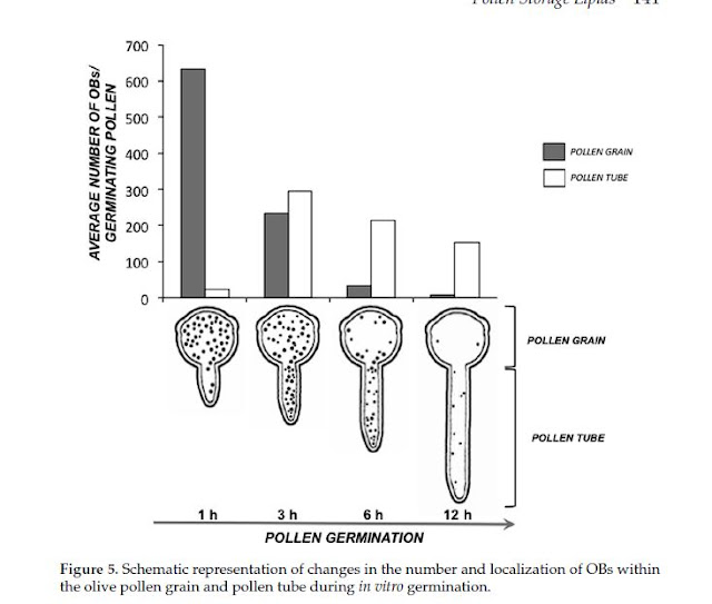 Knowledge Class: Storage Lipids in Developing and Germinating Pollen ...