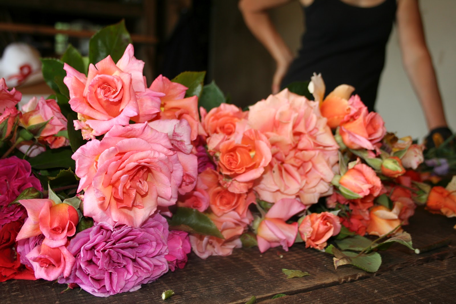 Danaë's Country Roses: Wedding roses for Charlotte and Clem grown by ...