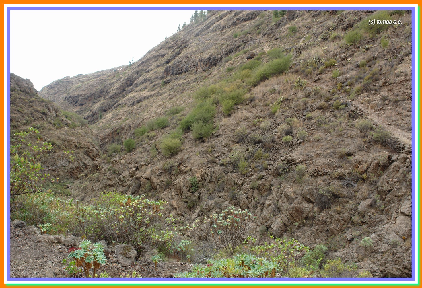 Tenerife senderos......: TENERIFE SENDEROS --GUIA ISORA-- EL JARAL -LAS ...