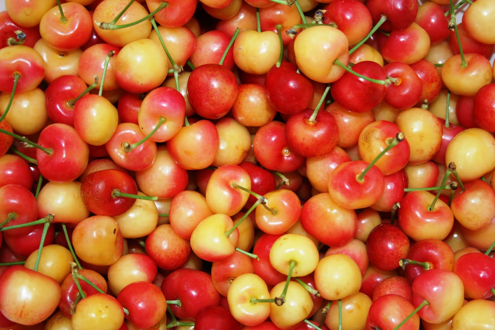 Enchanted Oak: Pick My Cherries, Please