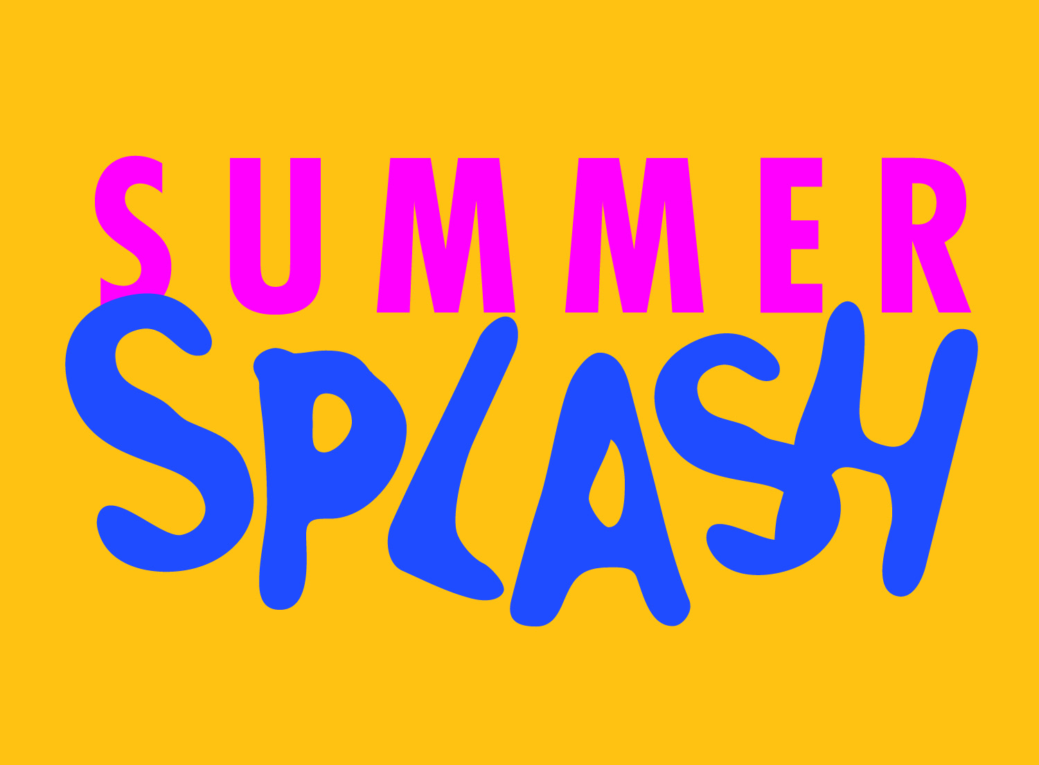 Patel Conservatory: From the Blog: Join us for Summer Splash 2013!