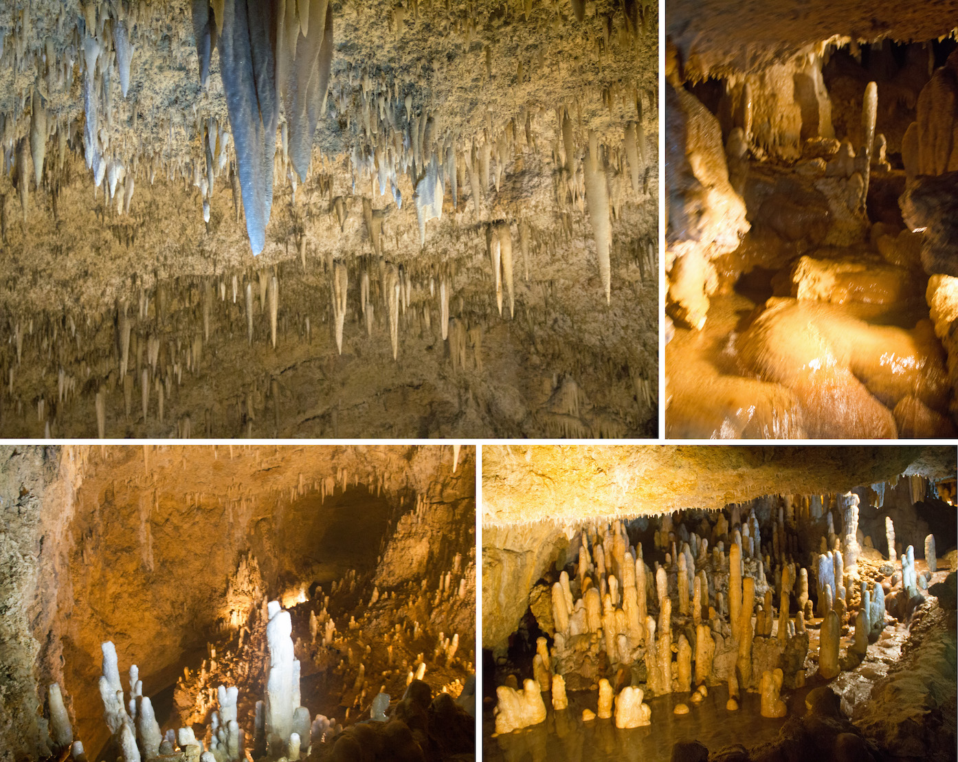 Exploring the World in 'Blue Velvet of Sark': Harrison's Cave Barbados