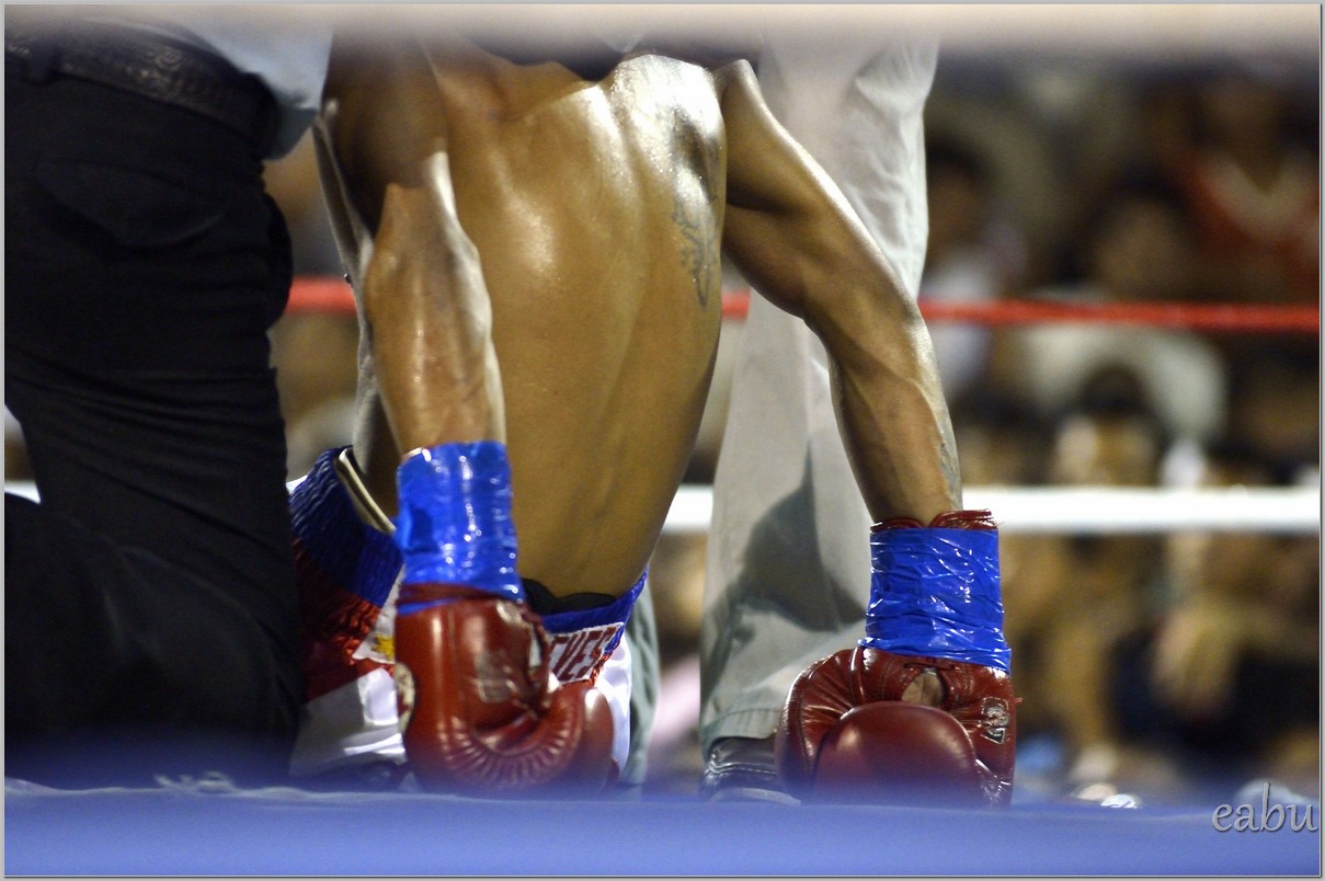 FrEsH aNd GrEeN: One Last Time Before The Bigtime, Aj Banal