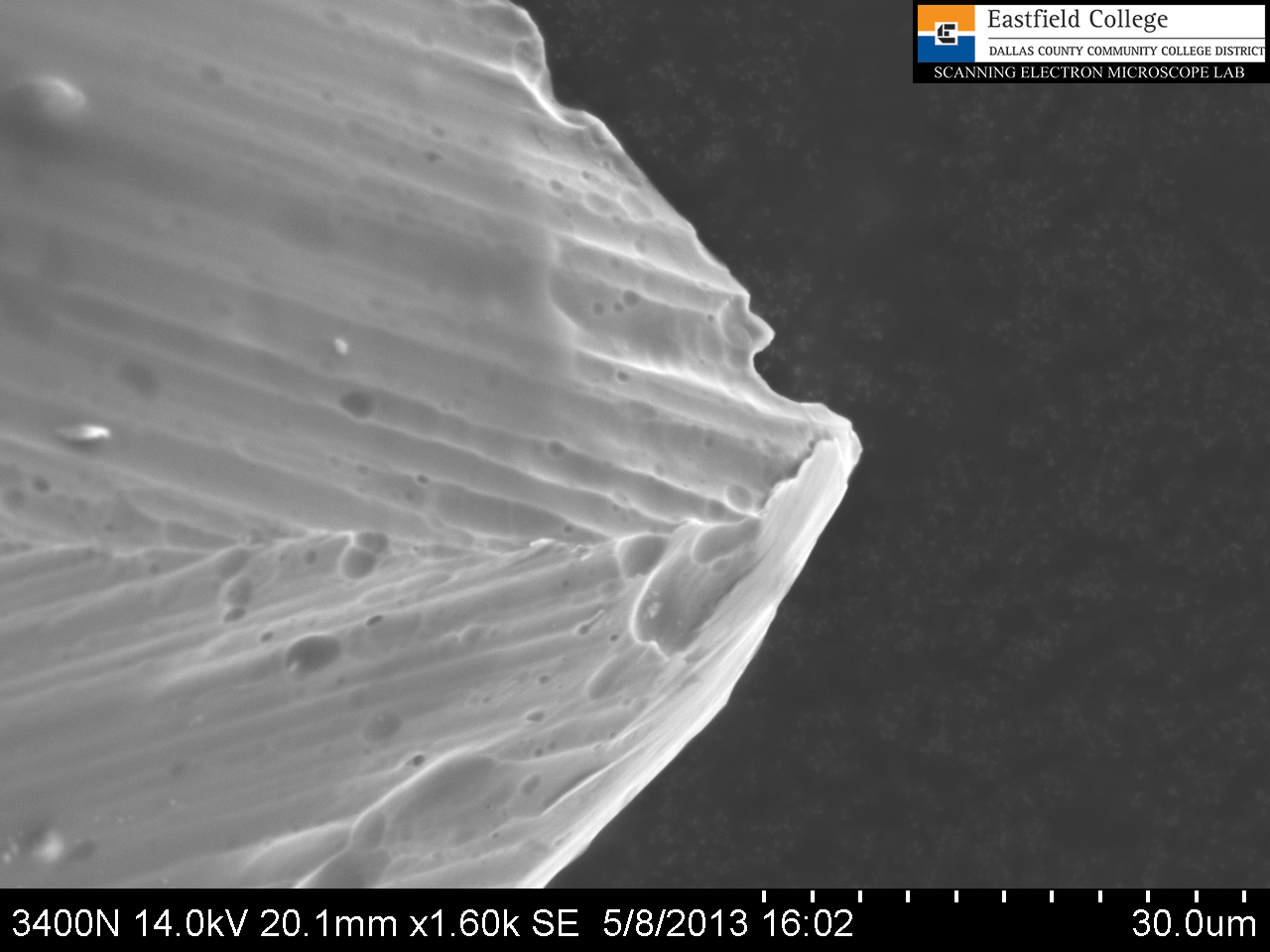 Scanning Electron Microscope Blog: How Sharp is a Hypodermic Needle?