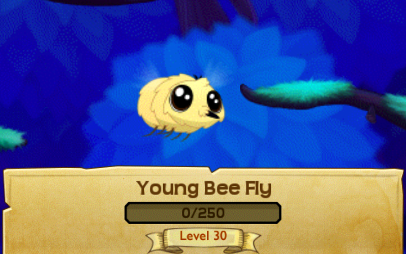 A Flutter Starlight Journey: Bee Fly Growth Stages & Rewards