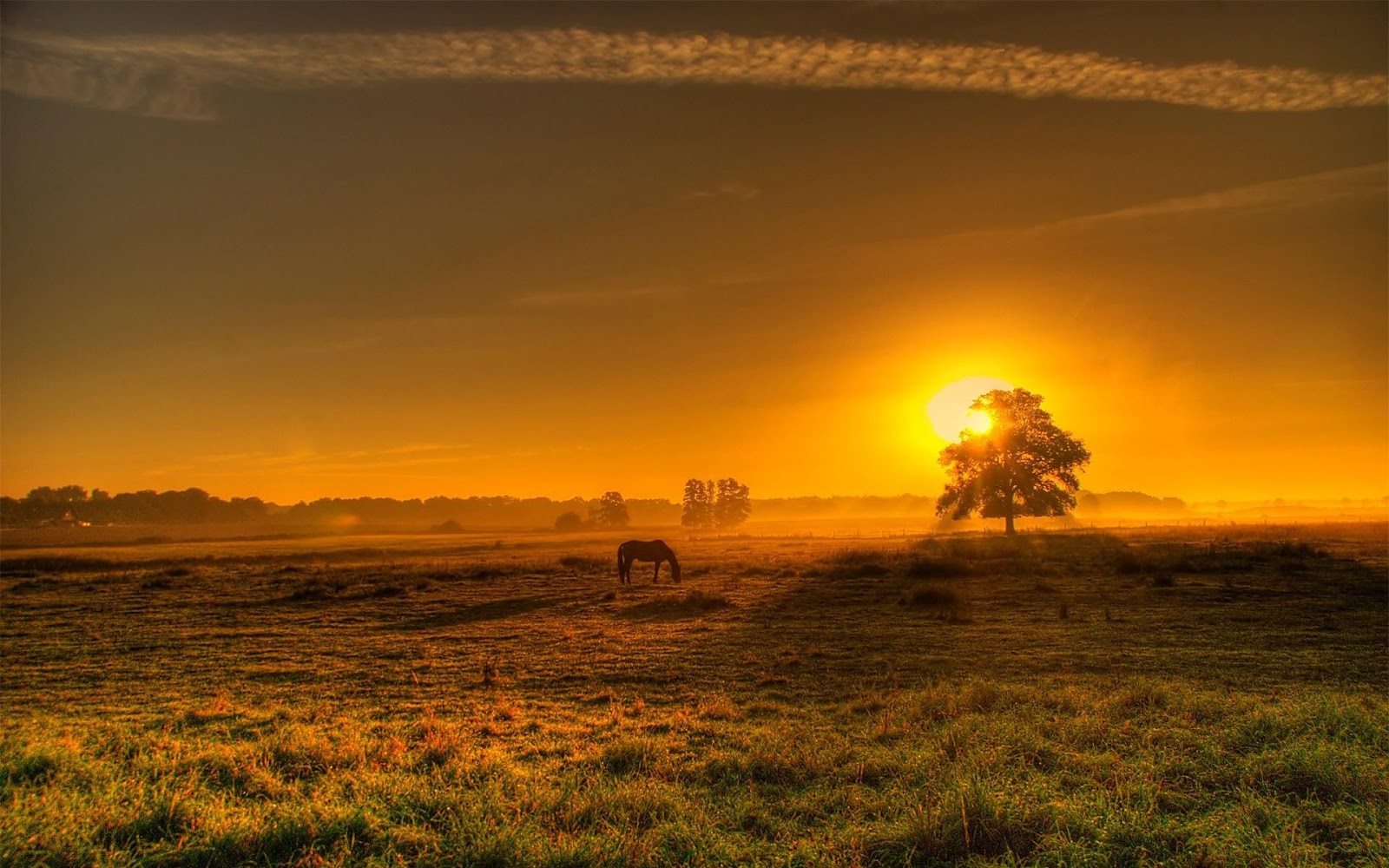 Sunrise Countryside full HD Wallpaper | Ella Countryside