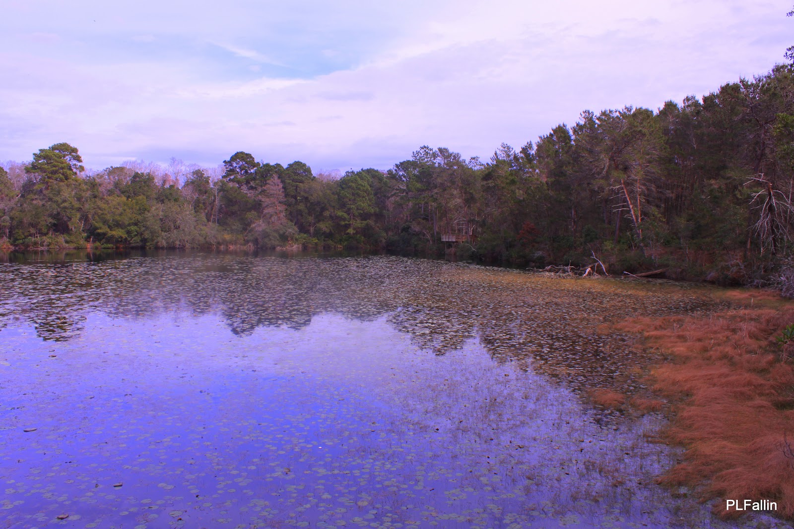 PL Fallin Photography: January 2013