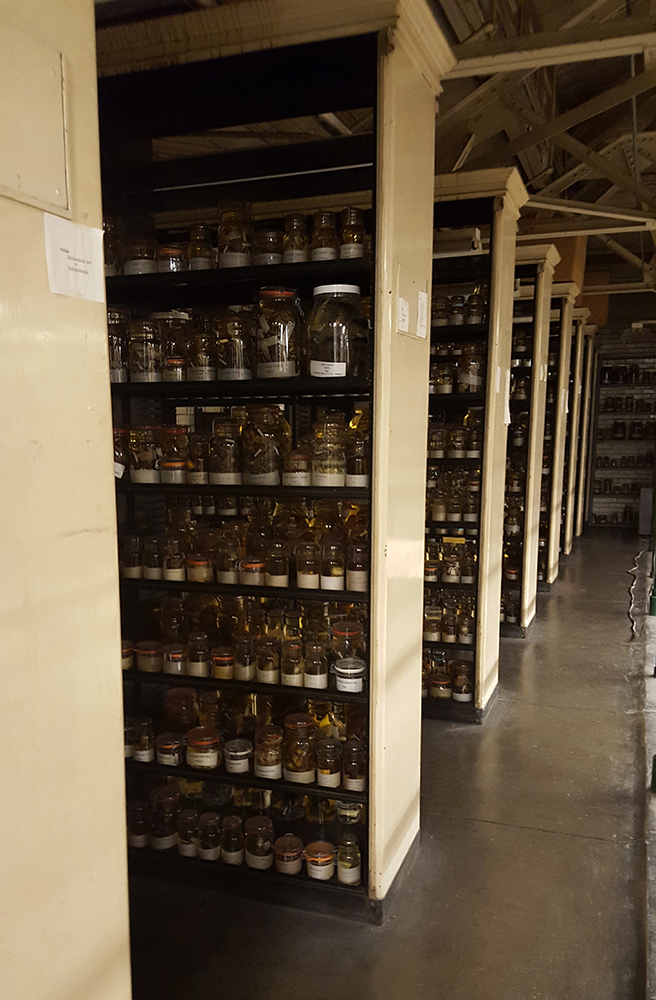 Propnomicon: The Reality of Things in Jars