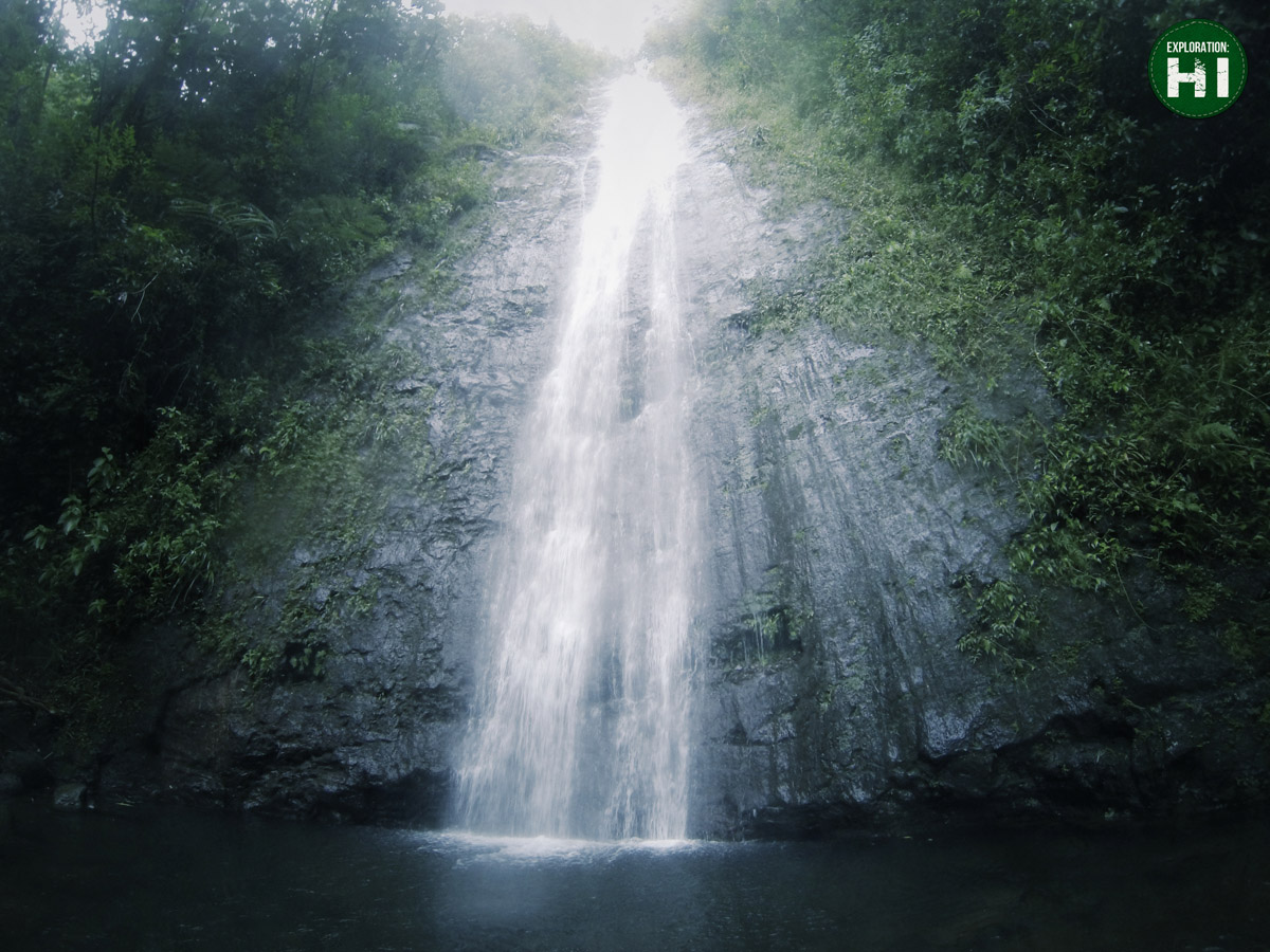 Foreign Islander: Manoa Falls