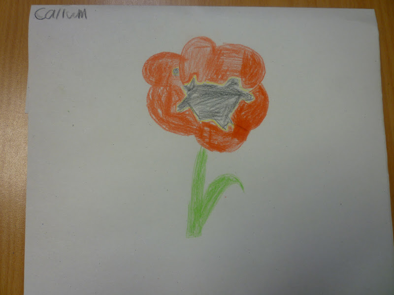 Fieldhead Carr University for children: Artists Unite Observational ...