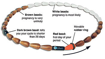 talking of the tadpoles: Moon time.