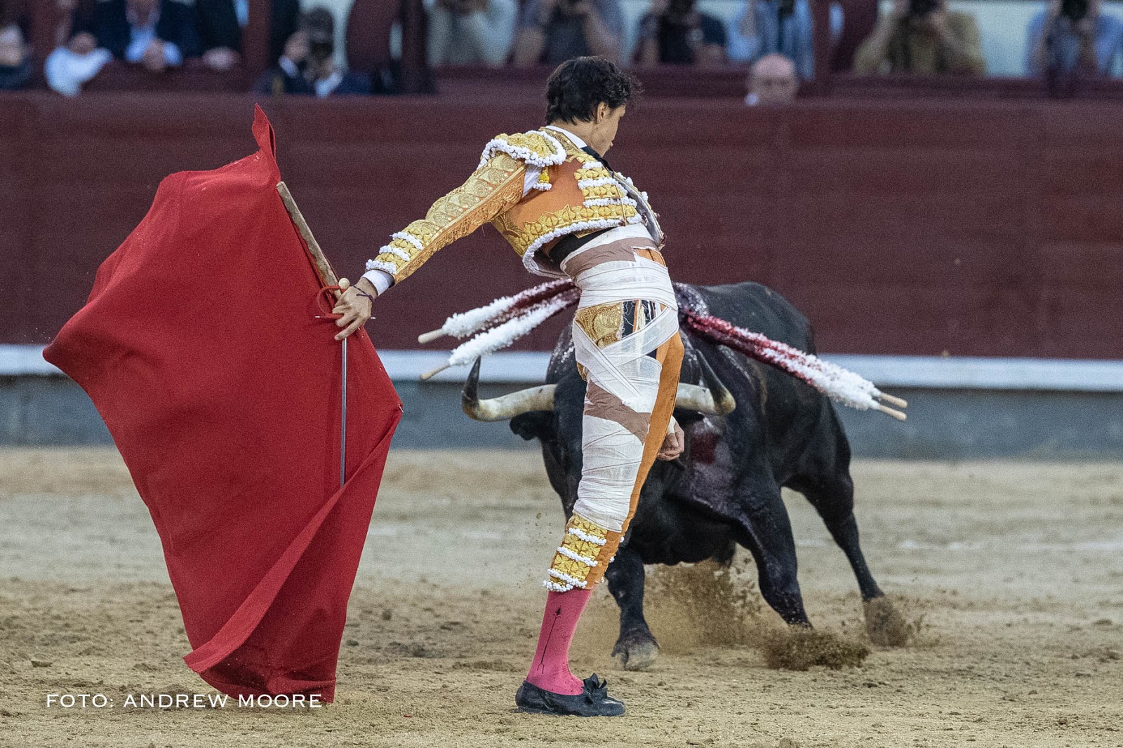 Toro, Torero y Afición: Roca Rey