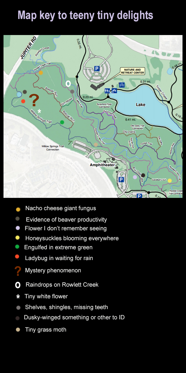 To know a place: Oak Point Nature Preserve: Overwhelmingly green ...