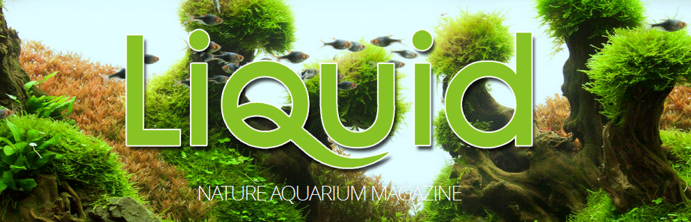 Aquascaping Grifon: Liquid Nature Aquarium Magazine