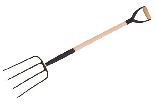 Daf Yomi דף יומי: Sucá 14 - La plegaria de los justos