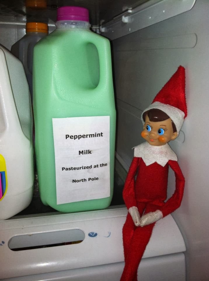 Chippy our Elf on the Shelf