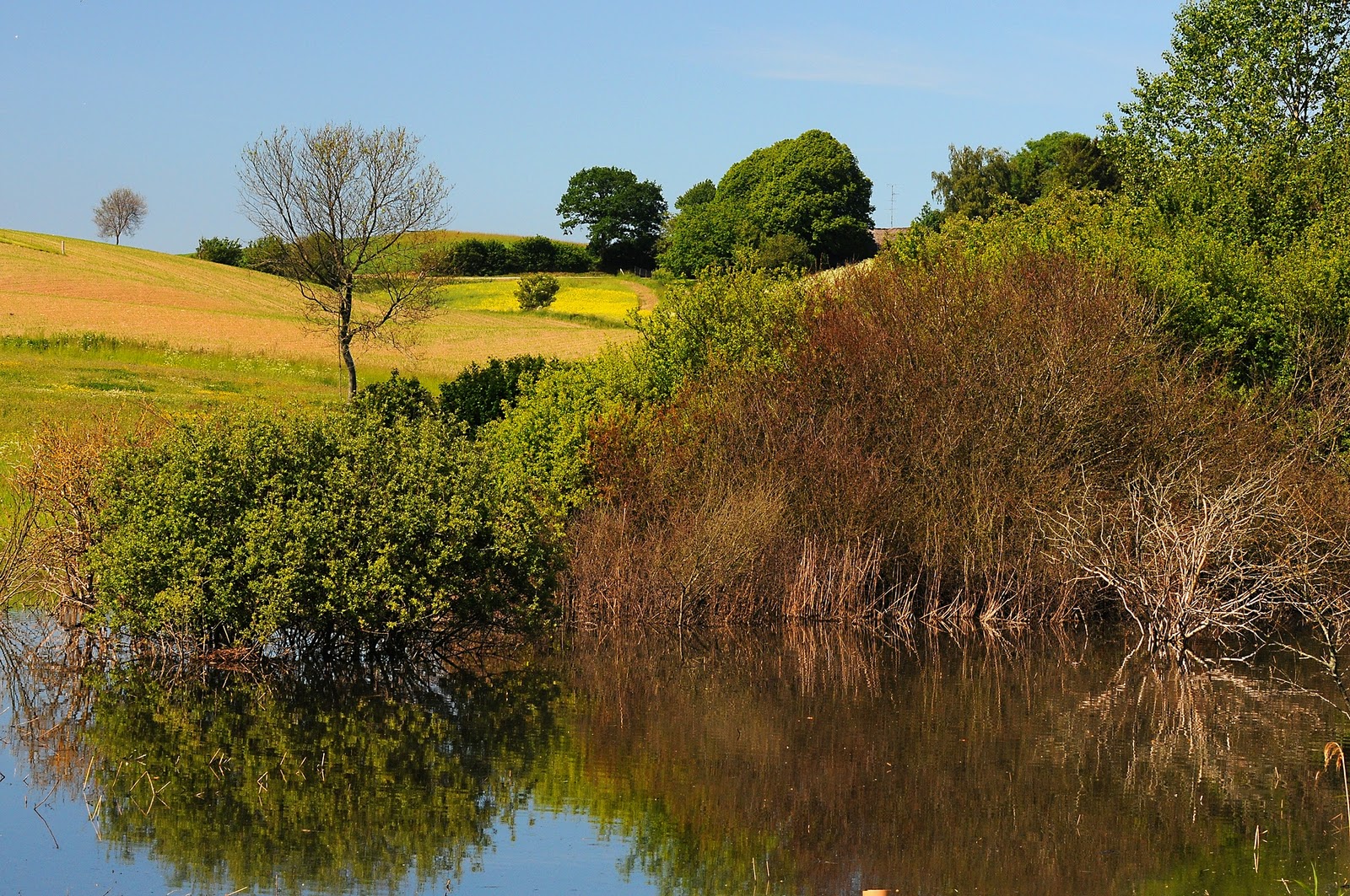 JM Natur: Landskabs billeder 2011