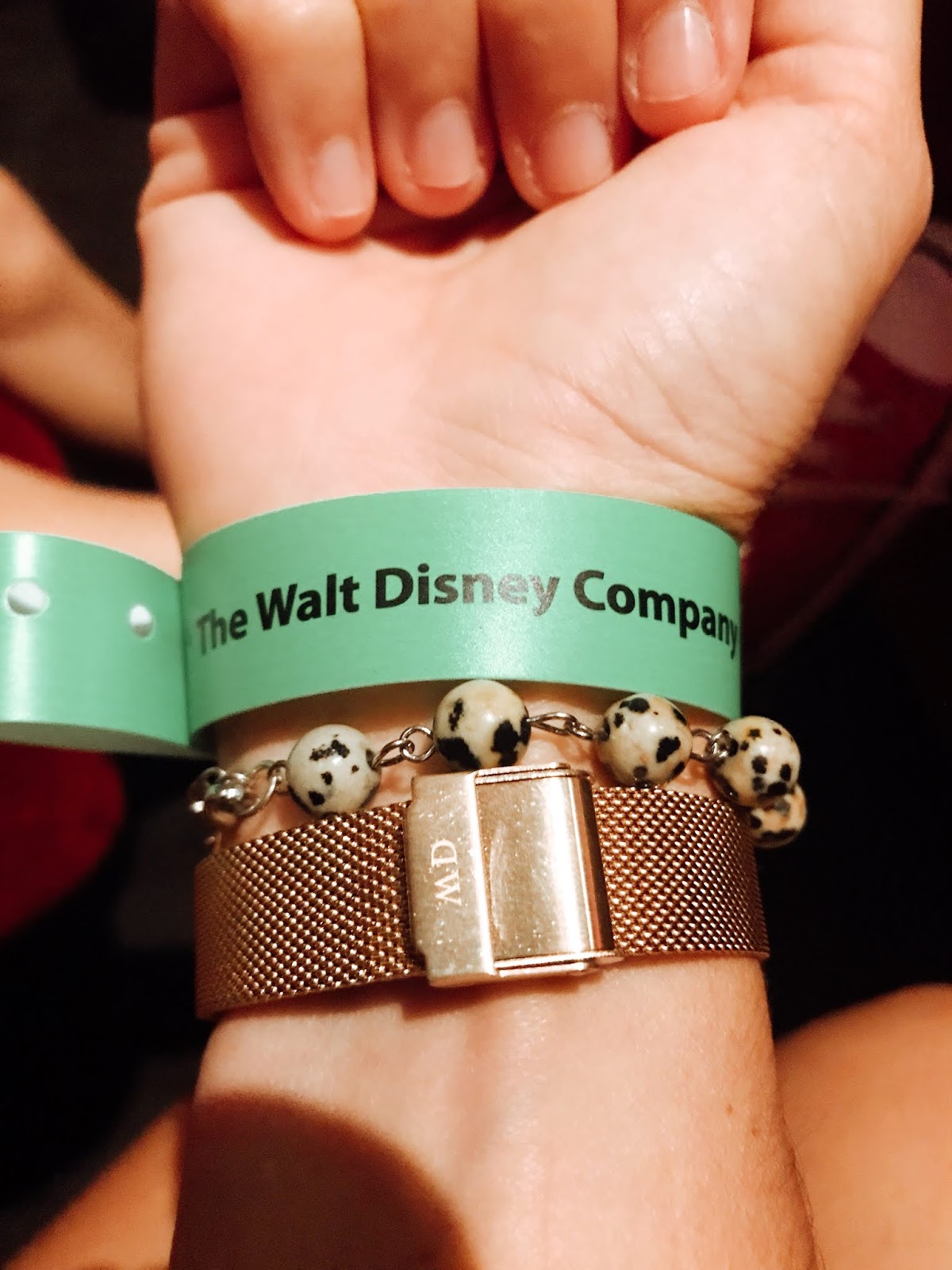 Disney's Christopher Robin - THE PATRICIOS