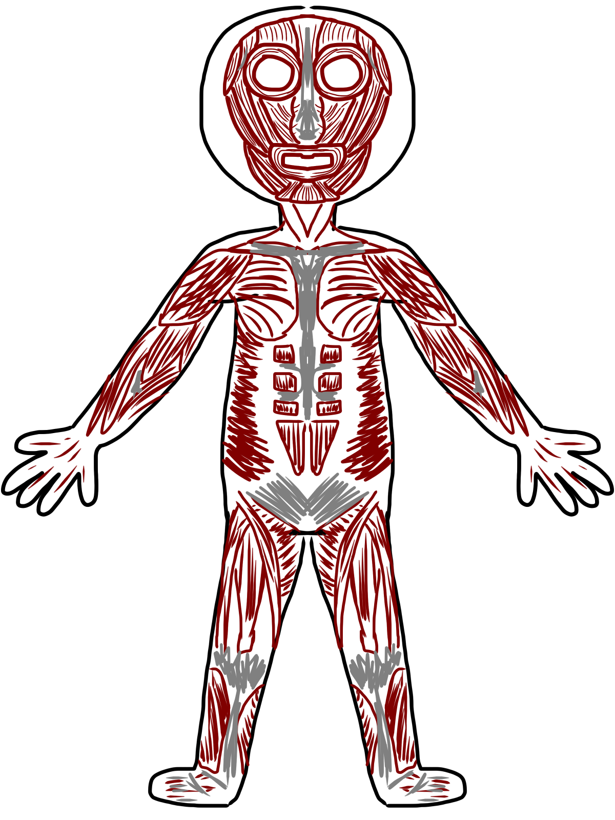 SchoolBox Treasures Body System Fun SchoolBox Treasures Body System Fun
