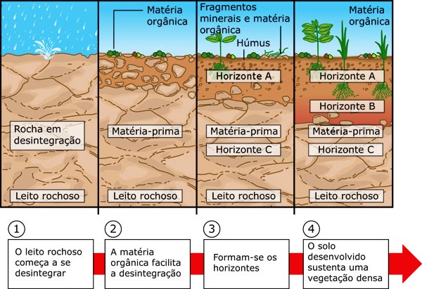 O Espaço da Geografia: Caracterização do solo