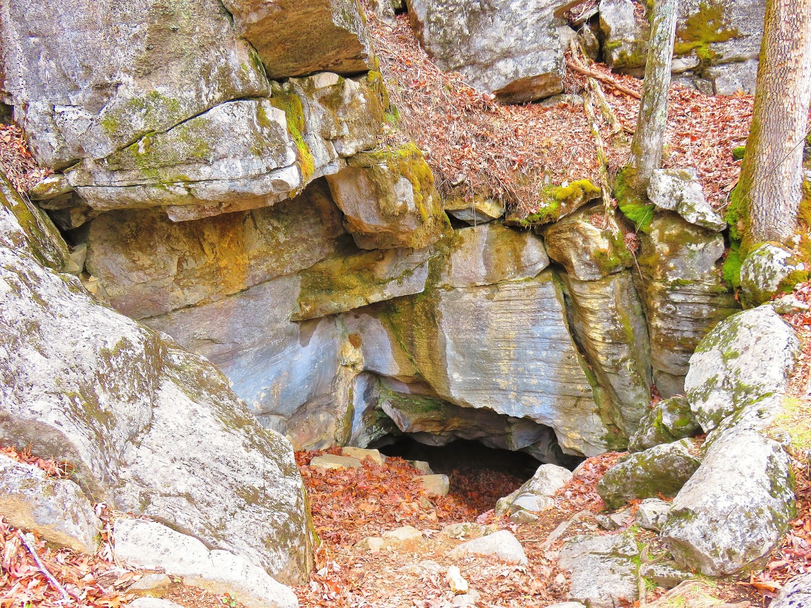 Tales From The Wood Booger: From Cades Cove To Tremont Some Hidden Gems ...