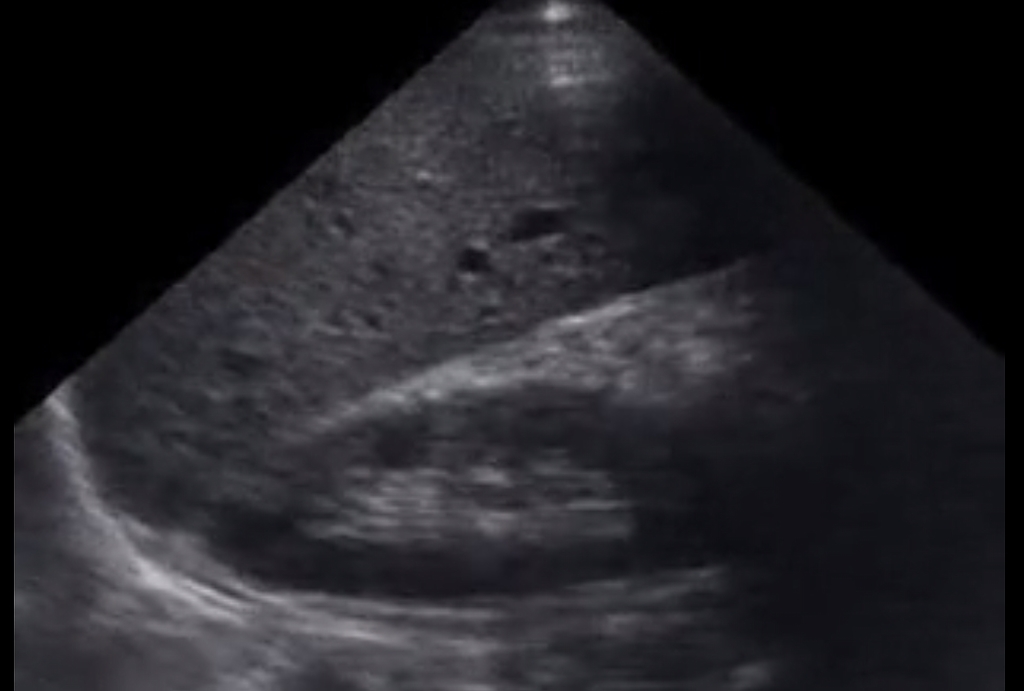 EMS SOLUTIONS INTERNATIONAL by @DrRamonReyesMD marca registrada ...