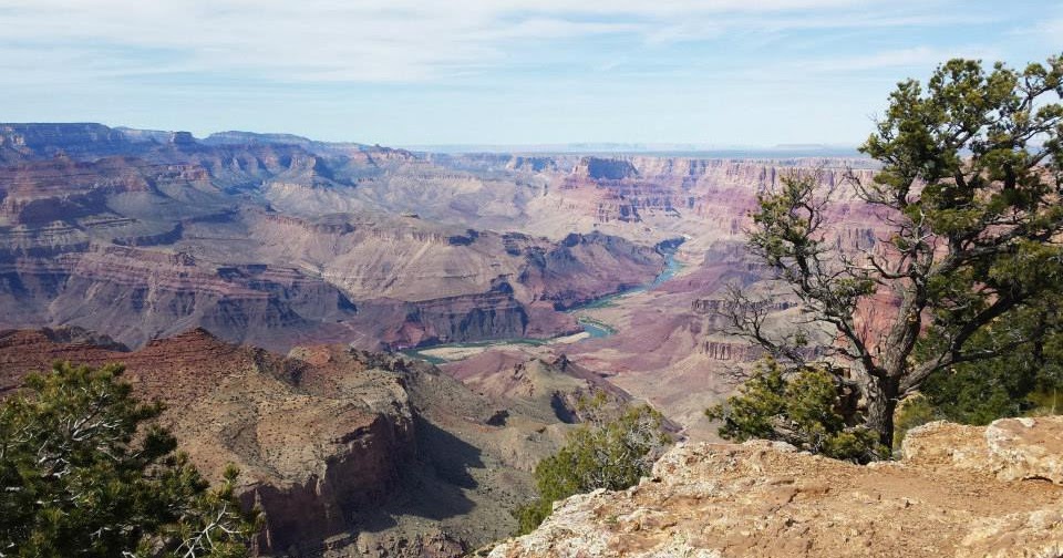 Cranberry Tea Time: Adventure and Joy