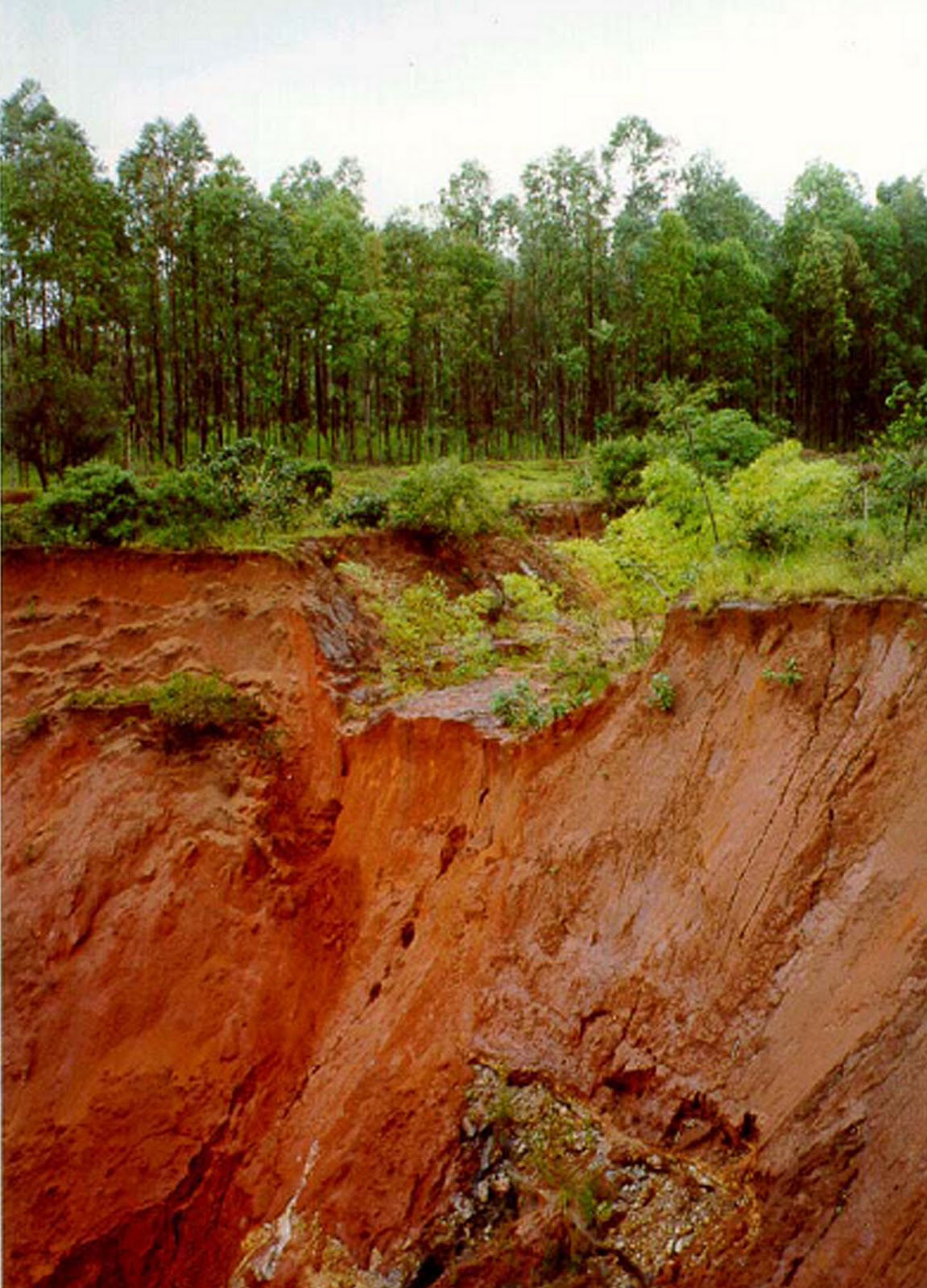 BIBOCA AMBIENTAL : VOÇOROCA, RAVINA