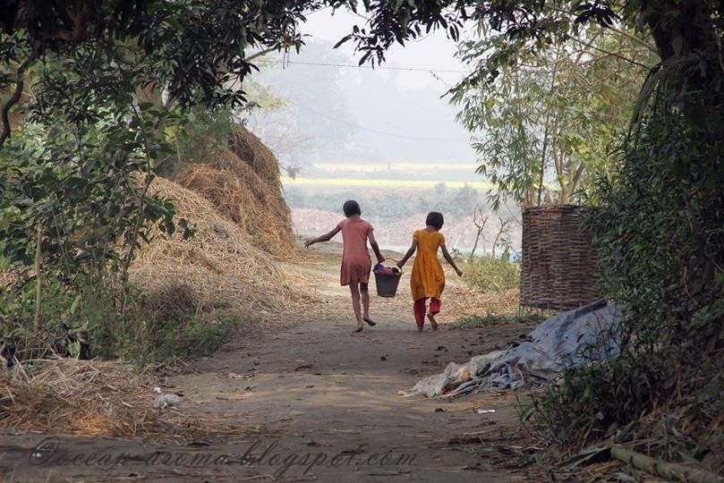 Winter Season In Bangladesh - Nature Photos « Ocean Aroma