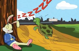 La liebre y la tortuga