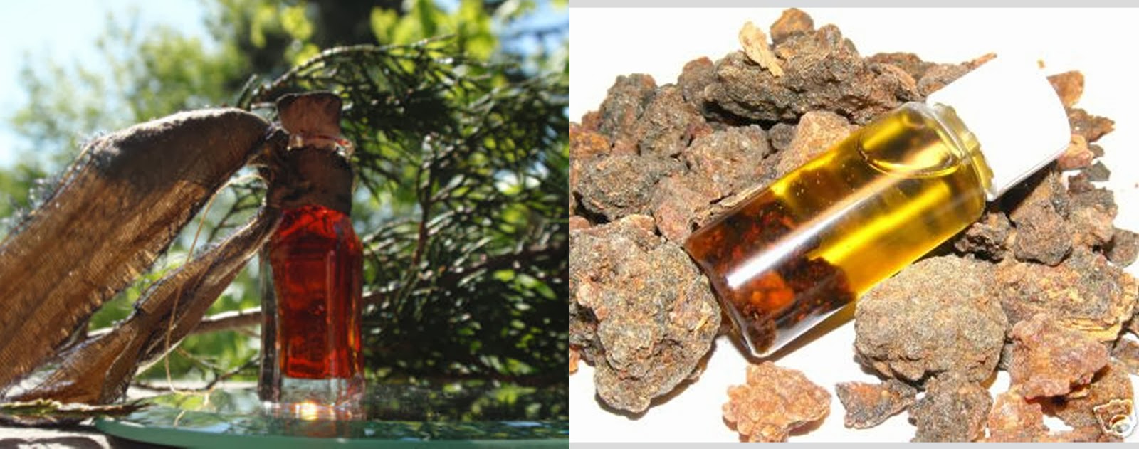 Red Pill Diaries: Frankincense