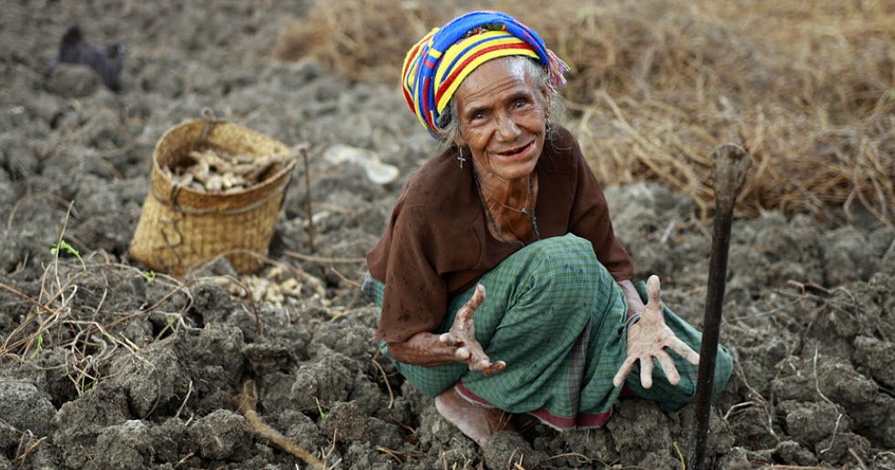 East Timor Law and Justice Bulletin: State bodies’ arrogance puts Timor ...