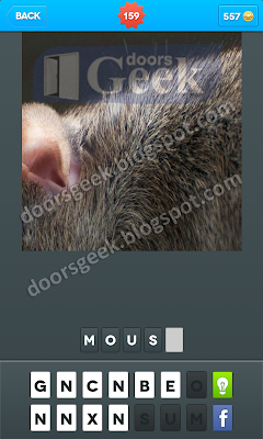 Zoomed In - Photo Word Game Level 159 ~ Doors Geek