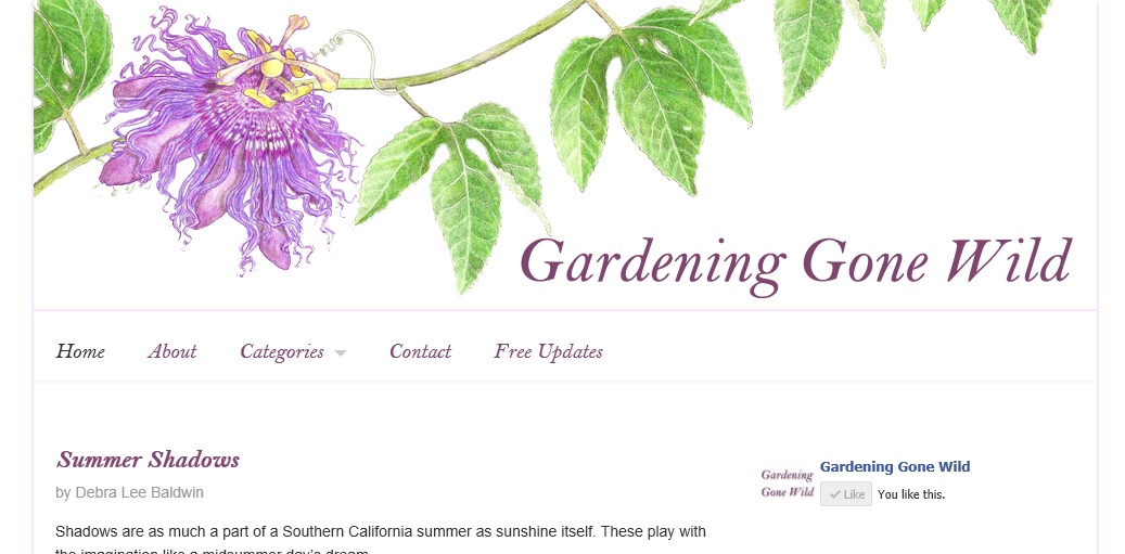The Rainforest Garden: Custom Illustrations