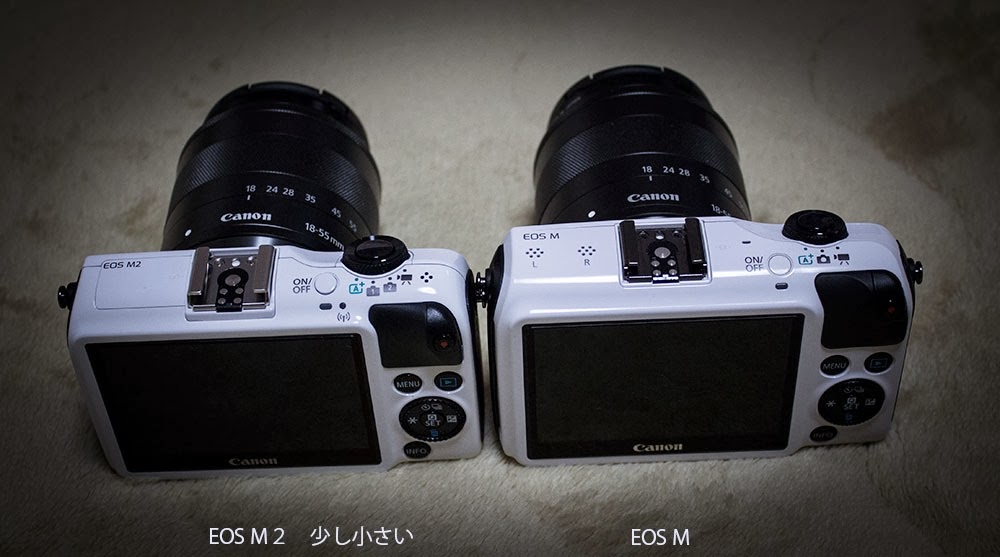 Michael Daniel Ho - The Wildlife Ho-tographer: Canon EOS-M2 Coming To ...