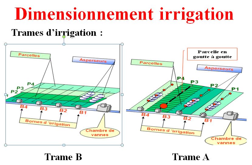 Dimensionnement irrigation localisée