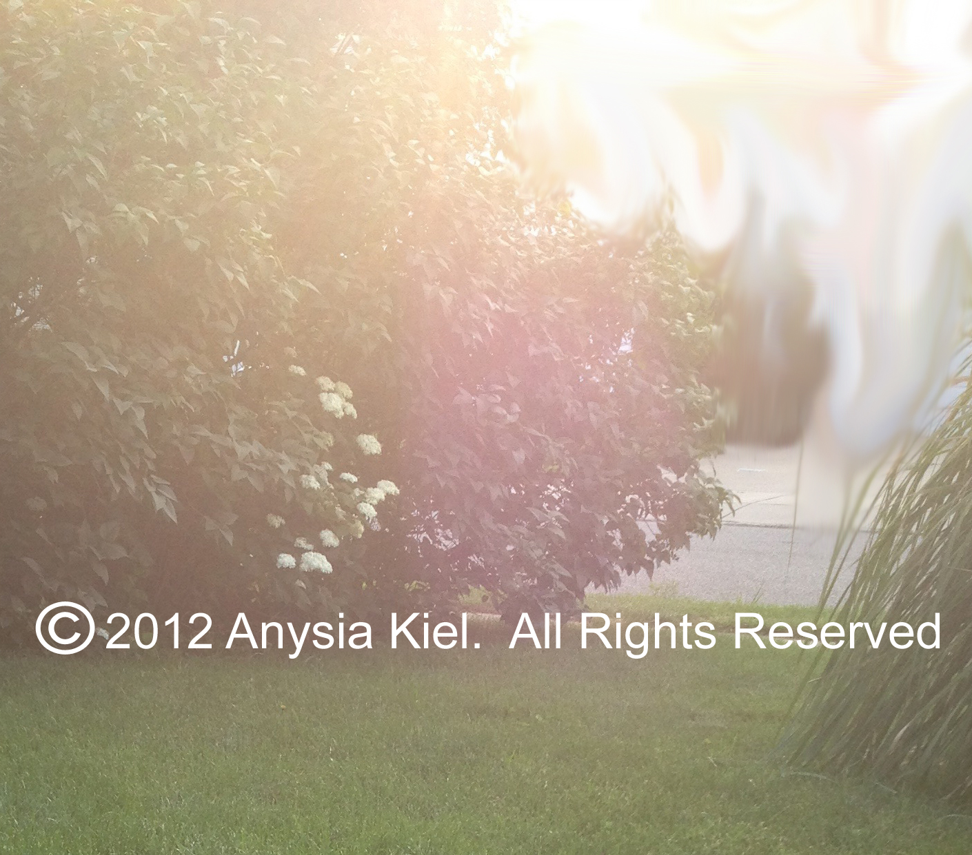 Do you see spirits? | Anysiakiel.com