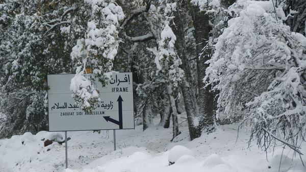 THE VIEW FROM FEZ: Heavy Snowfalls Expected in Morocco