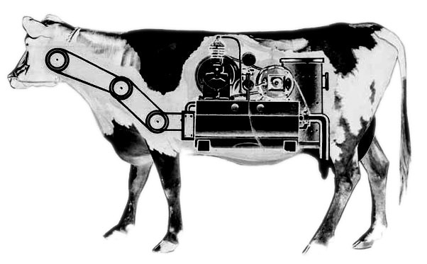 My Face Is On Fire: May 2012