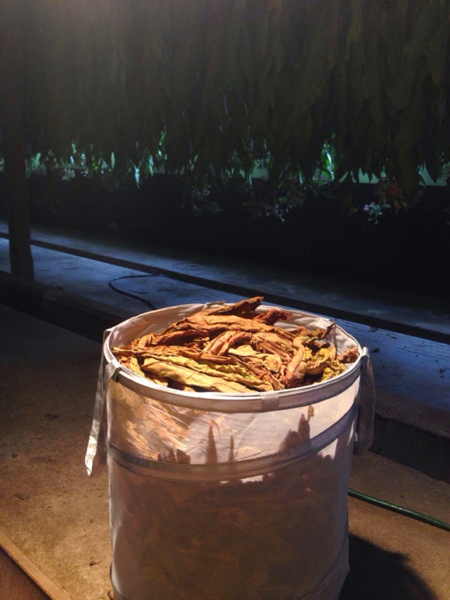 Österlensnus - A new, small batch snus from Sweden! (Limited Edition ...