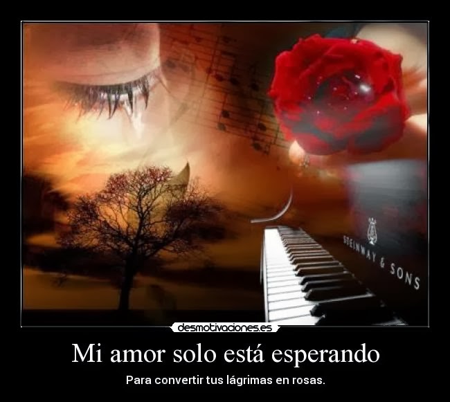 PENSAMIENTOS NO PENSADOS: REGRESA .....................