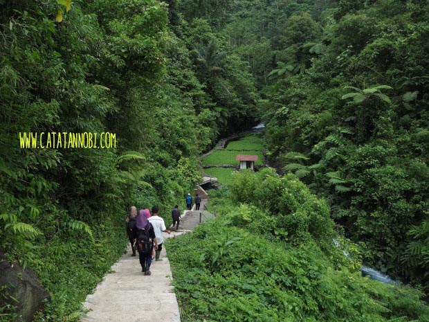 Air Terjun Telunjuk Raung, Banyuwangi - Kesejukan Alami Di Lereng ...