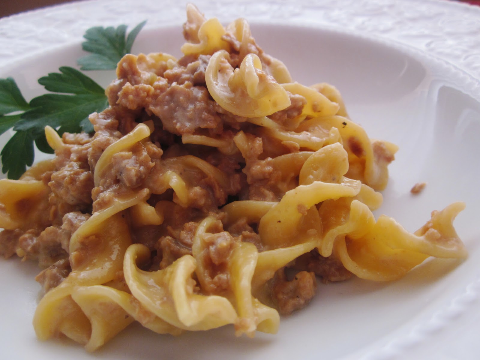 Preparing Wisely: Homemade Hamburger Skillet Meal Mix for you Food Storage