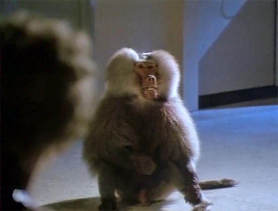 Mind of Frames: Shakma