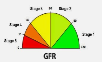 treatment for kidney disease: Factors that can Cause Decline in GFR