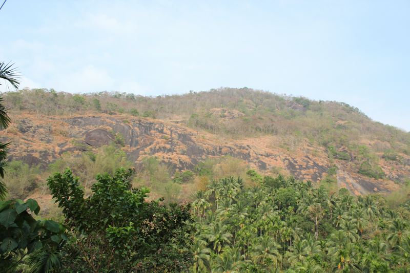 Kerala Hills: Vayalada - Balussery, Kozhikode