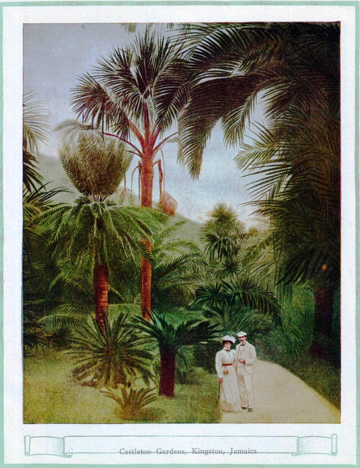 Castleton Gardens, Jamaica W.I.